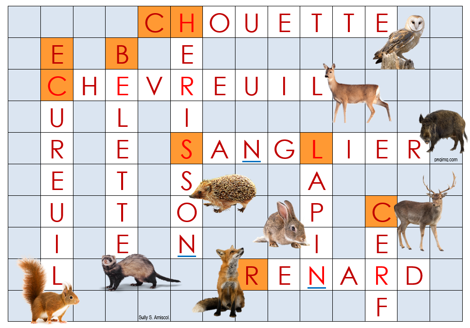 Amiscol: Jeux de mots croisés (suite)