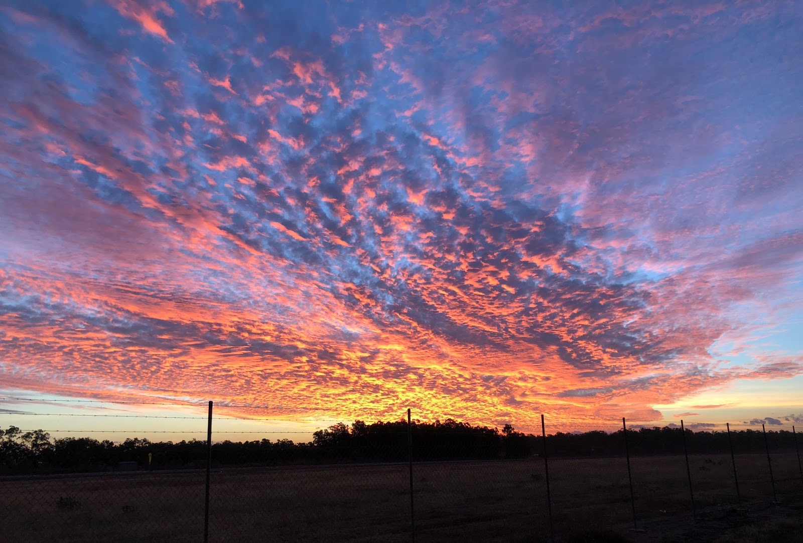 Little Darwin: DAZZLING TROPICAL SUNSET
