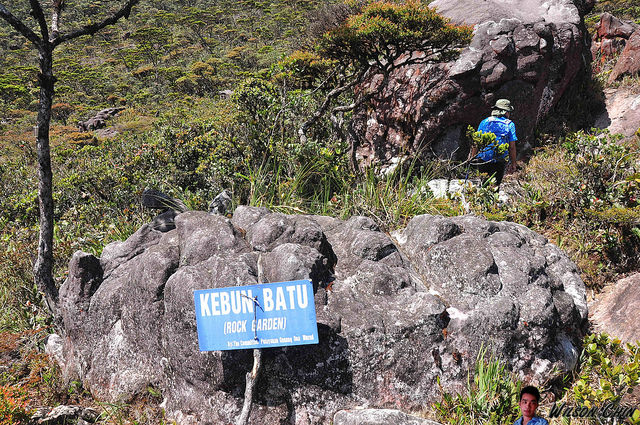 Mount Murud Exploration - Summit The Mount Murud, Highest Mountain in ...