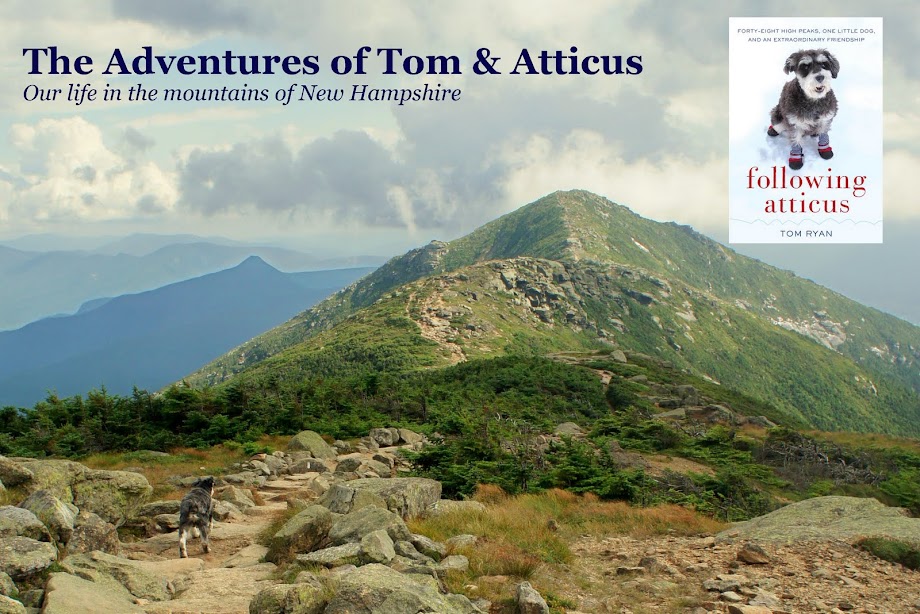 The Adventures of Tom & Atticus: Atticus Finch, Meet Atticus M. Finch