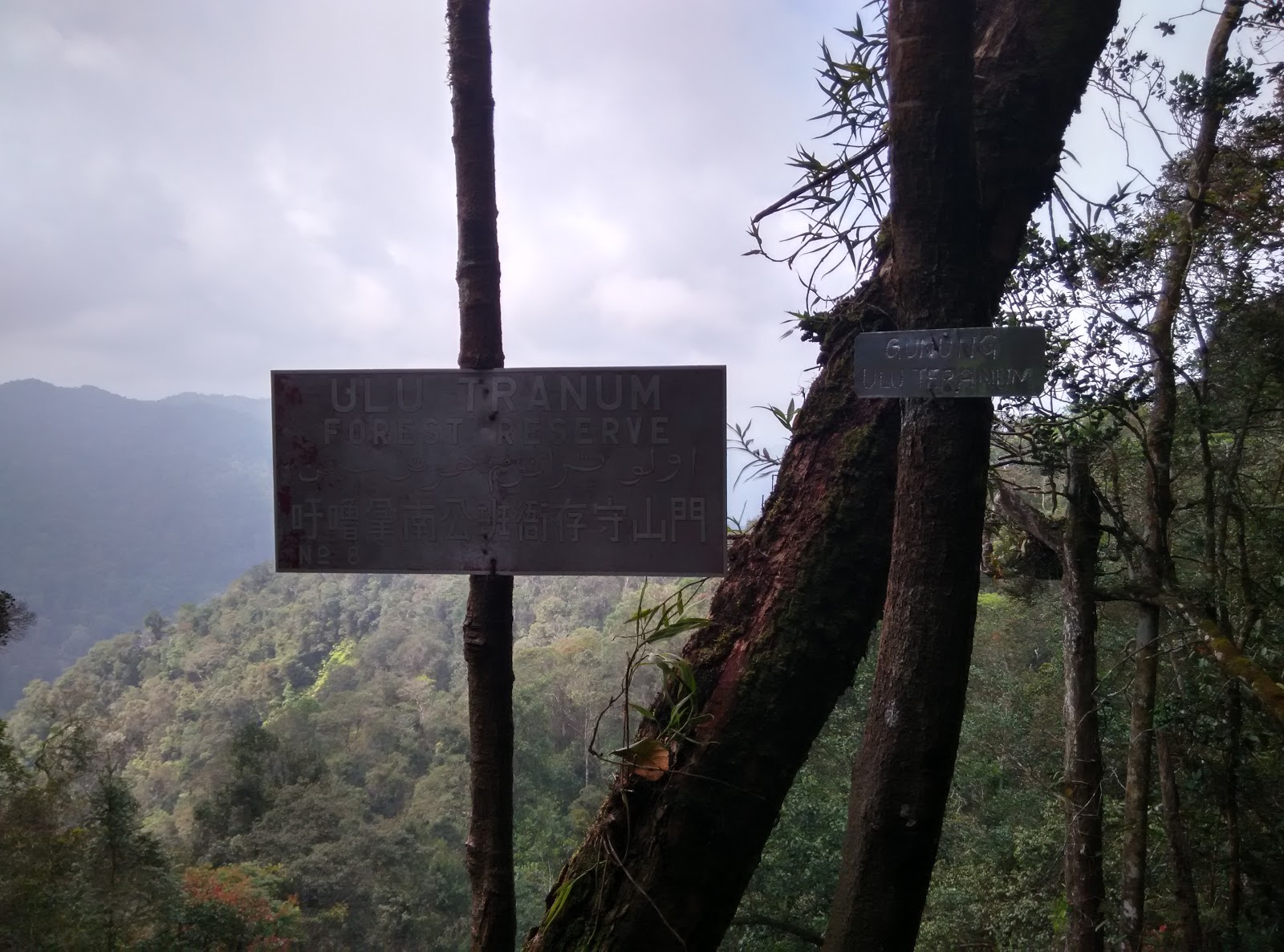 Live, where your heart finds life ツ: GUS: Gunung Gap- Gunung Ulu Tranum ...