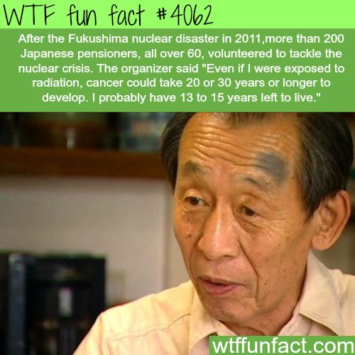60 Amazing Random Facts | Amazing WTF Facts