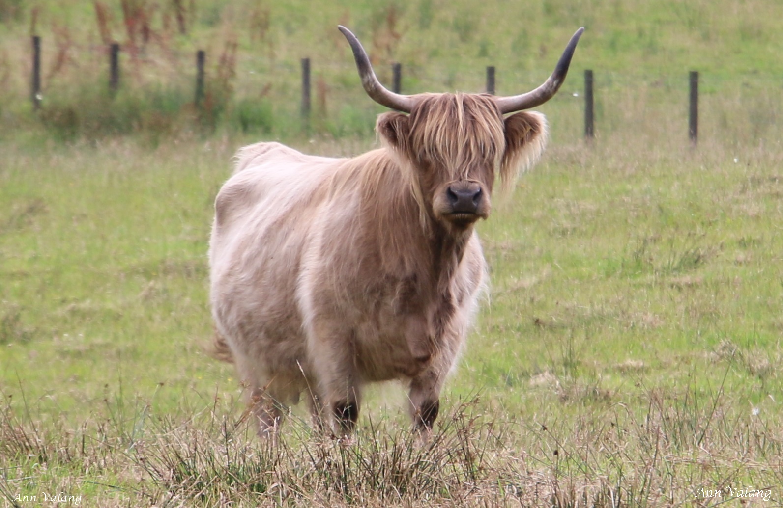 Fraction of my thoughts: Šotimaa, Oban -> Edibnburgh