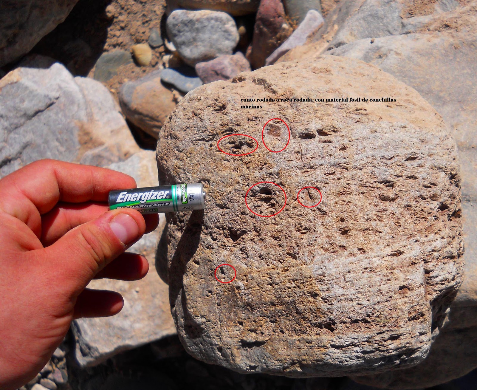 Ciencias de la Tierra (geología - geografía): ROCAS SEDIMENTARIAS - El ...