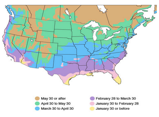 Map Of Where Potatoes Are Grown