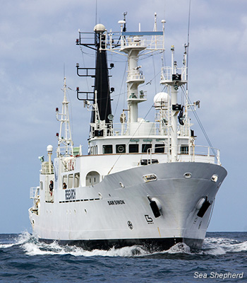 anna maria: Sea Shepherd leaves for Antactica