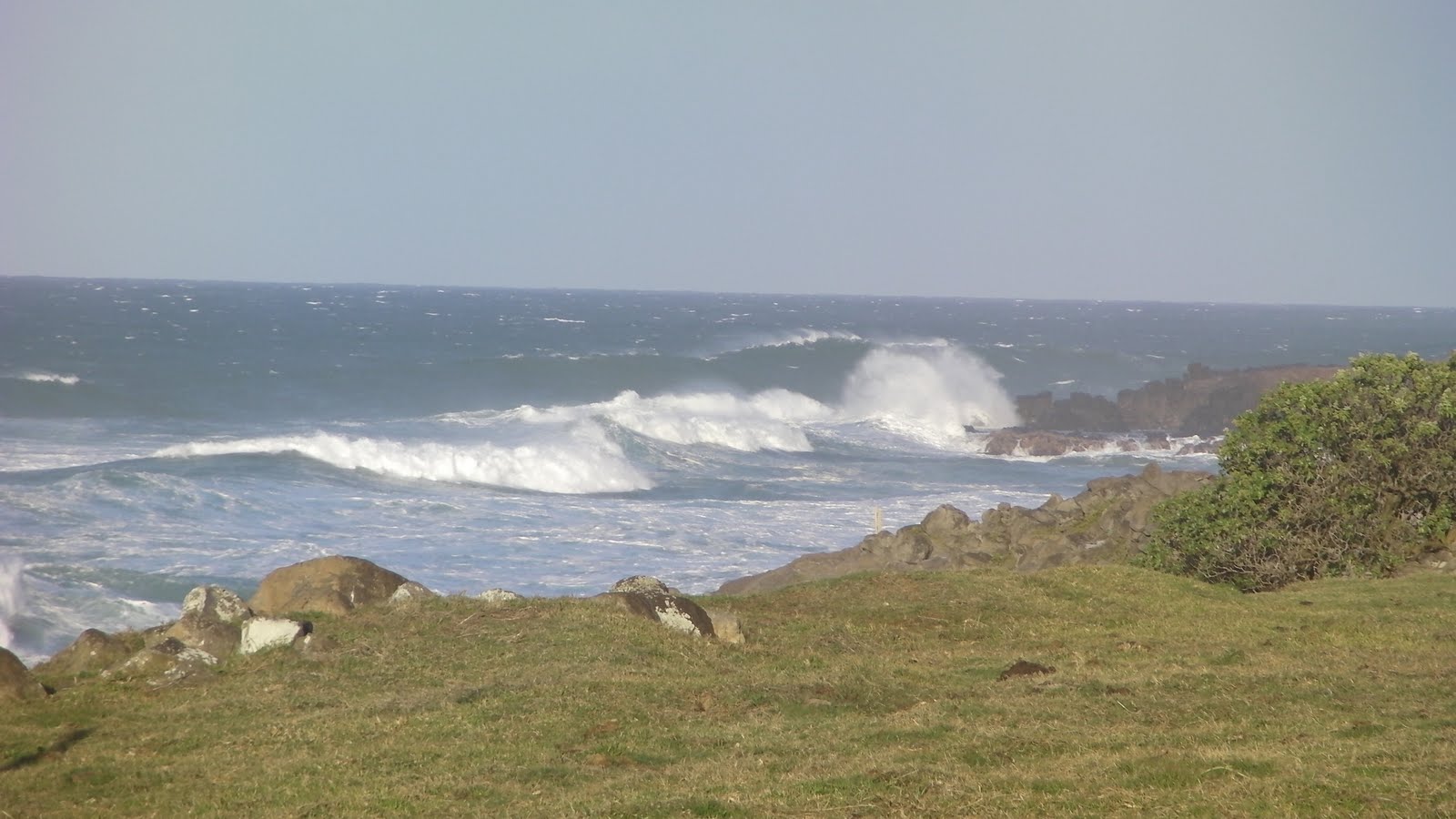 WaterTurtle: Hello Maui, Goodbye Maui