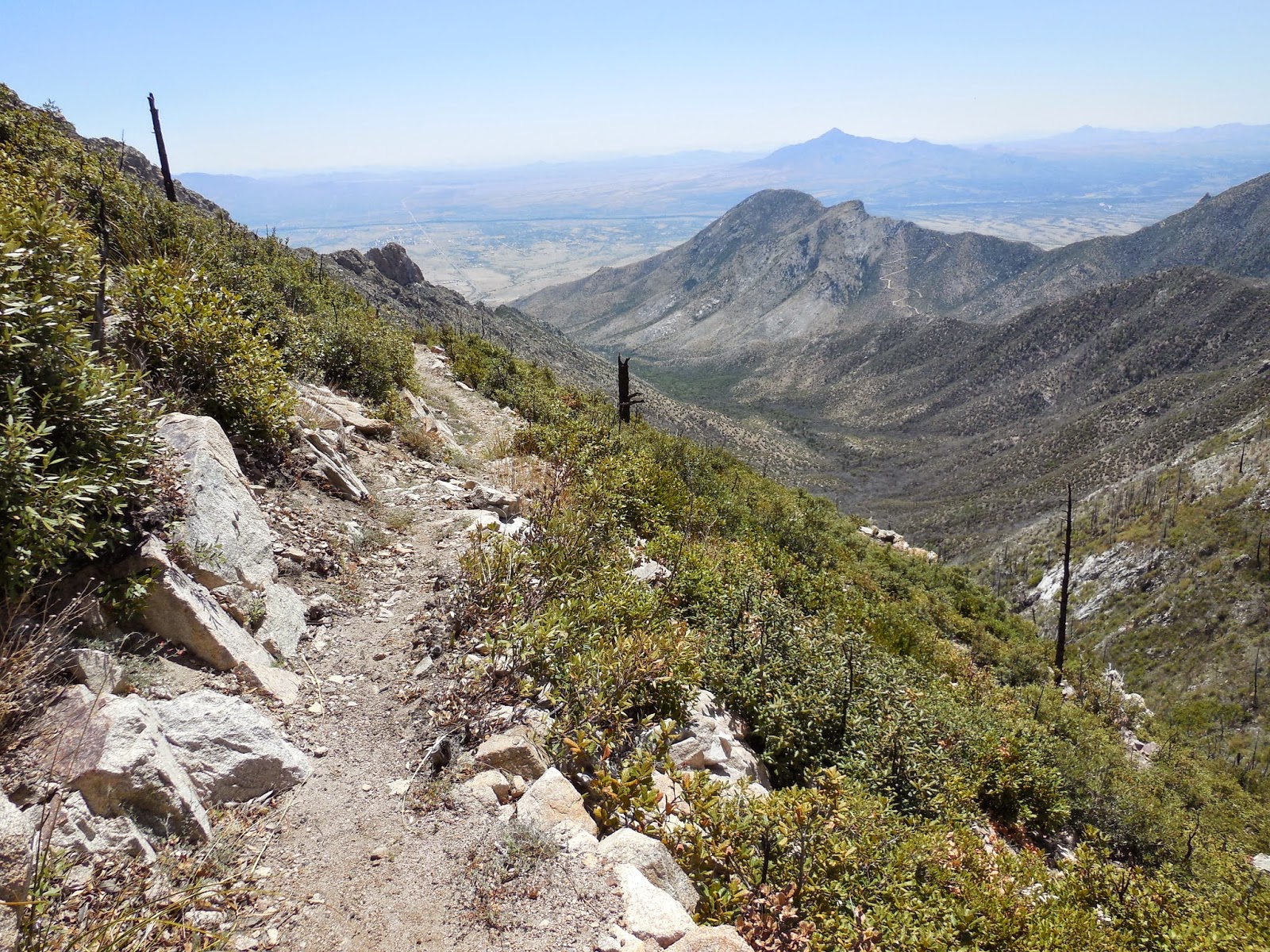 Exploring the American West: Summit of Miller Peak via Lutz Canyon ...