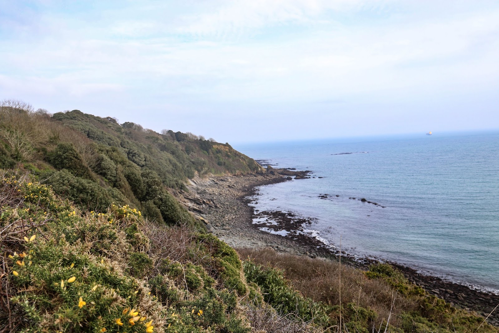 Musings from Higher Downgate and Elsewhere: A weekend at Housel Bay ...