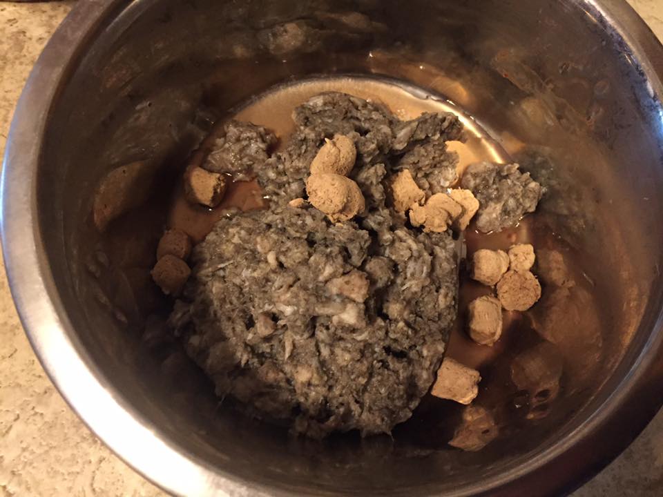My Rotten Dogs: Recent Raw Meals