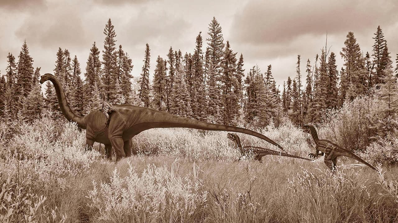 Jim Cox Photos: Utahraptor and Apatosaurus