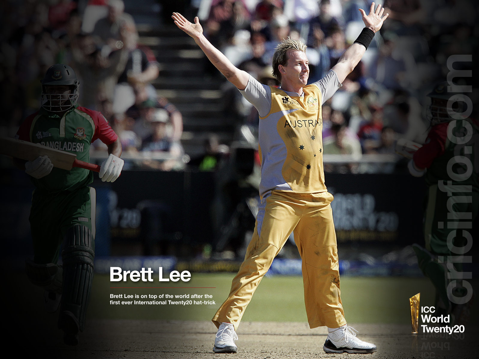 Cricket: Brett Lee