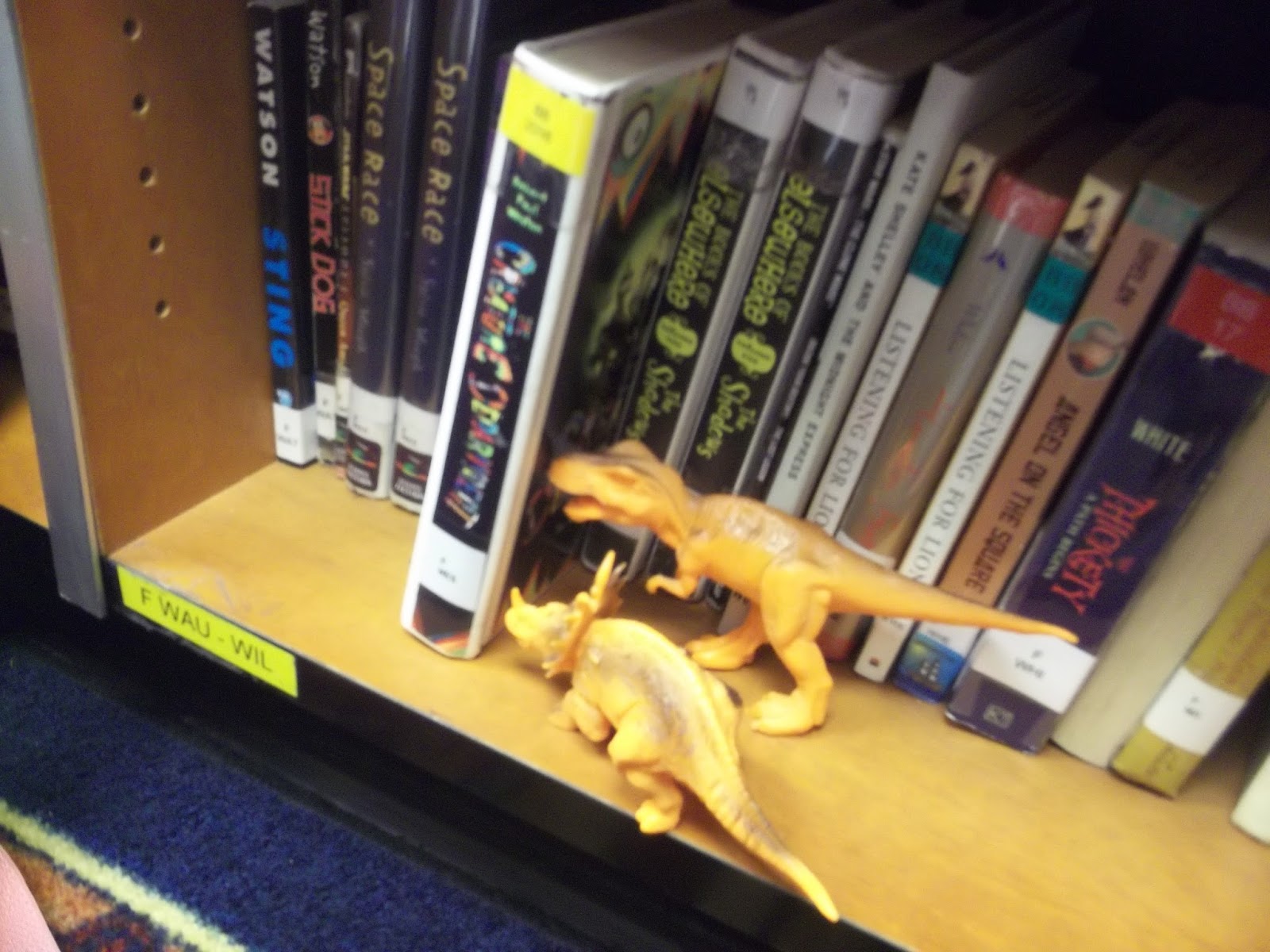 Sherwood Elementary School Library: What the Dinosaurs Did in the Library