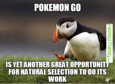 A PLACE CALLED HAPPY PILLS : Funny Pokemon Go Memes with over 1,000,000 ...