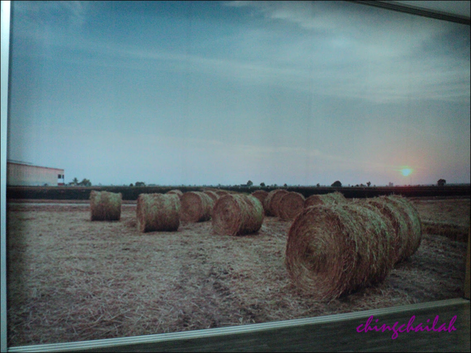 Simple Living In Nancy: Sekinchan, Here We Come! #1 - Paddy Gallery