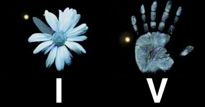 Fringe Glyph Code in "Worlds Apart" ~ Fringe Television - Fan Site for ...