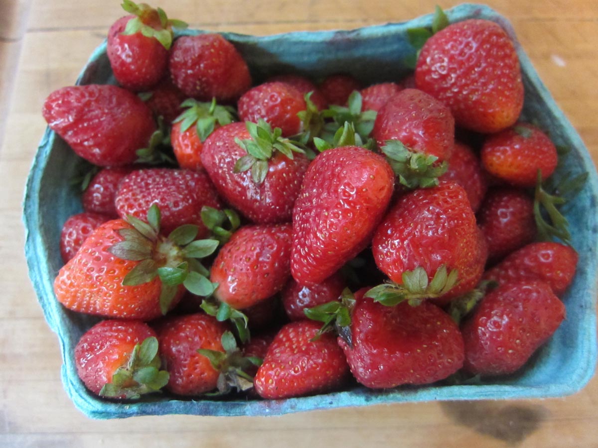 Saturday's Mouse: CSA Summer 2012 - The Goods - Week 2