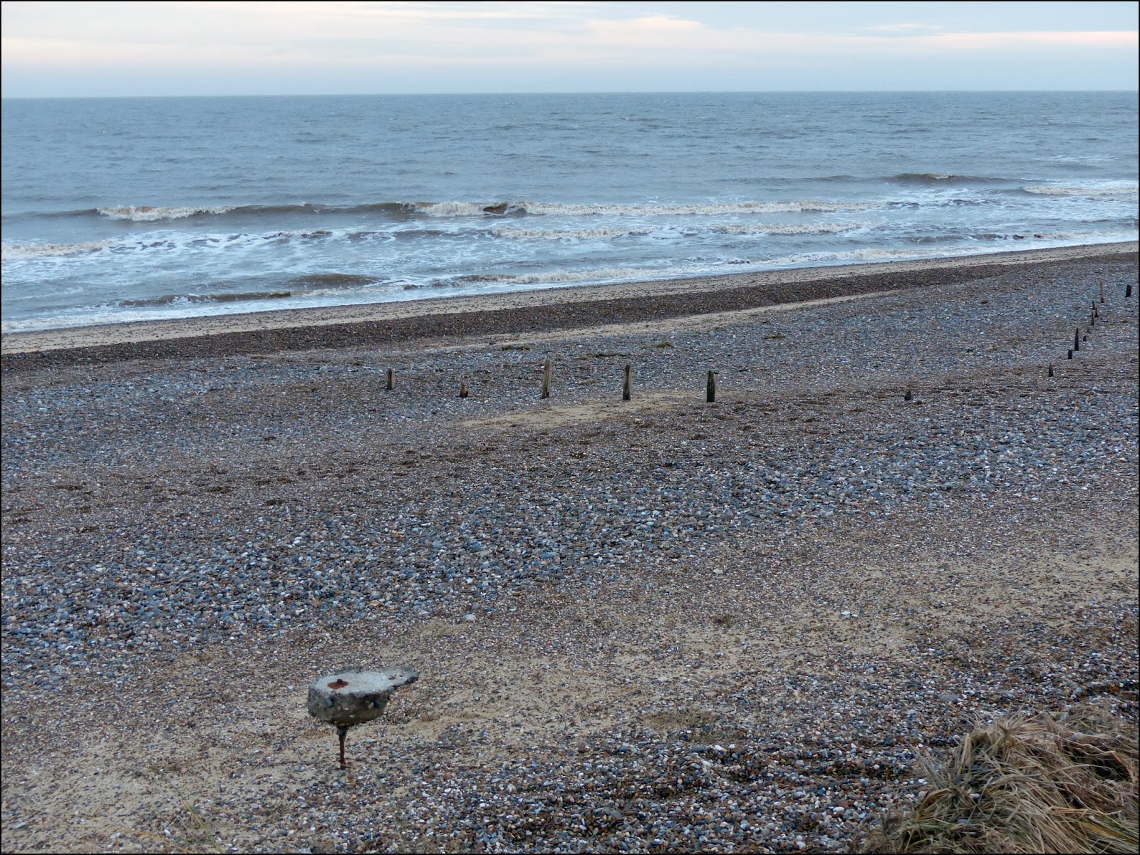 Wild and Wonderful: Nature Reserves ~ RSPB Minsmere