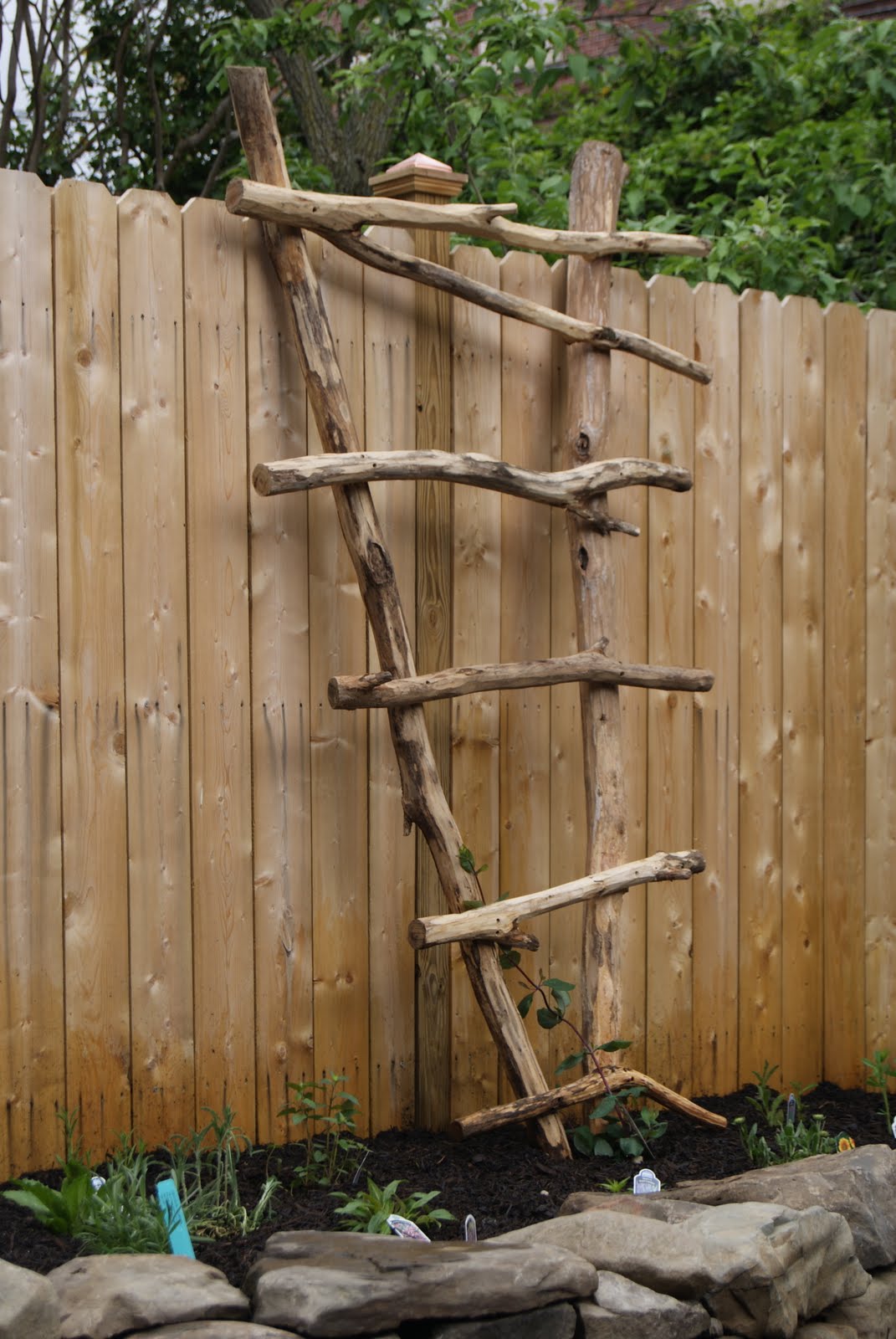 Seven Winds LLC: A Garden for Bees, Butterflies, Birds and Family!