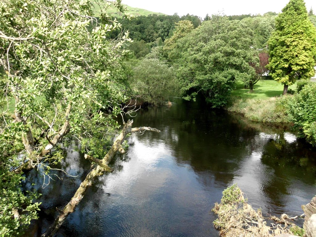 My Daily Walk: Lochan Spling, Aberfoyle