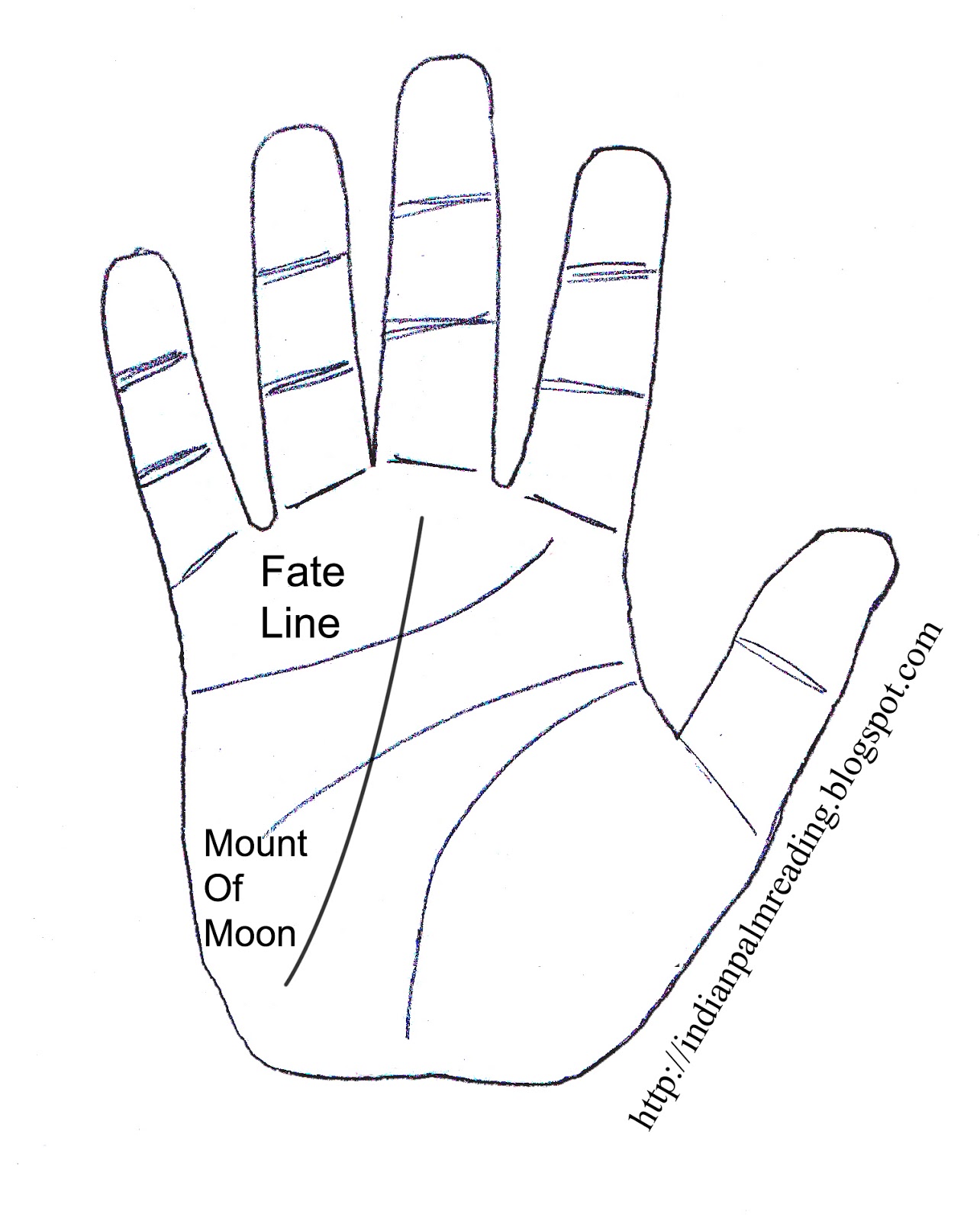 Types Of Fate Line In Palmistry ~ INDIAN PALMISTRY | PALM READING ...
