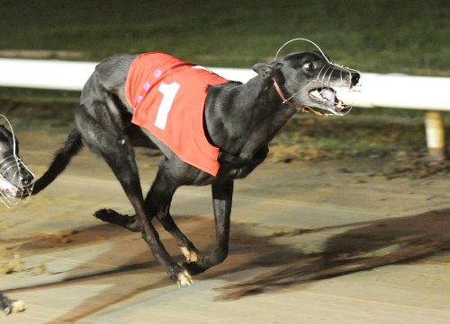 Chris Allsopp Racing Blog: October 2011