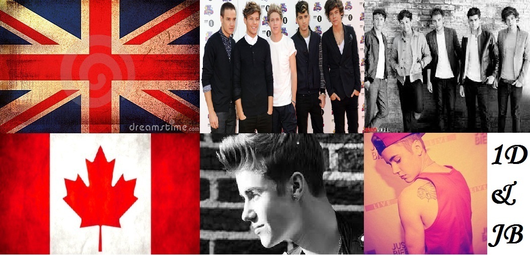 Imagine Belieber & Directioner : 1D Facts