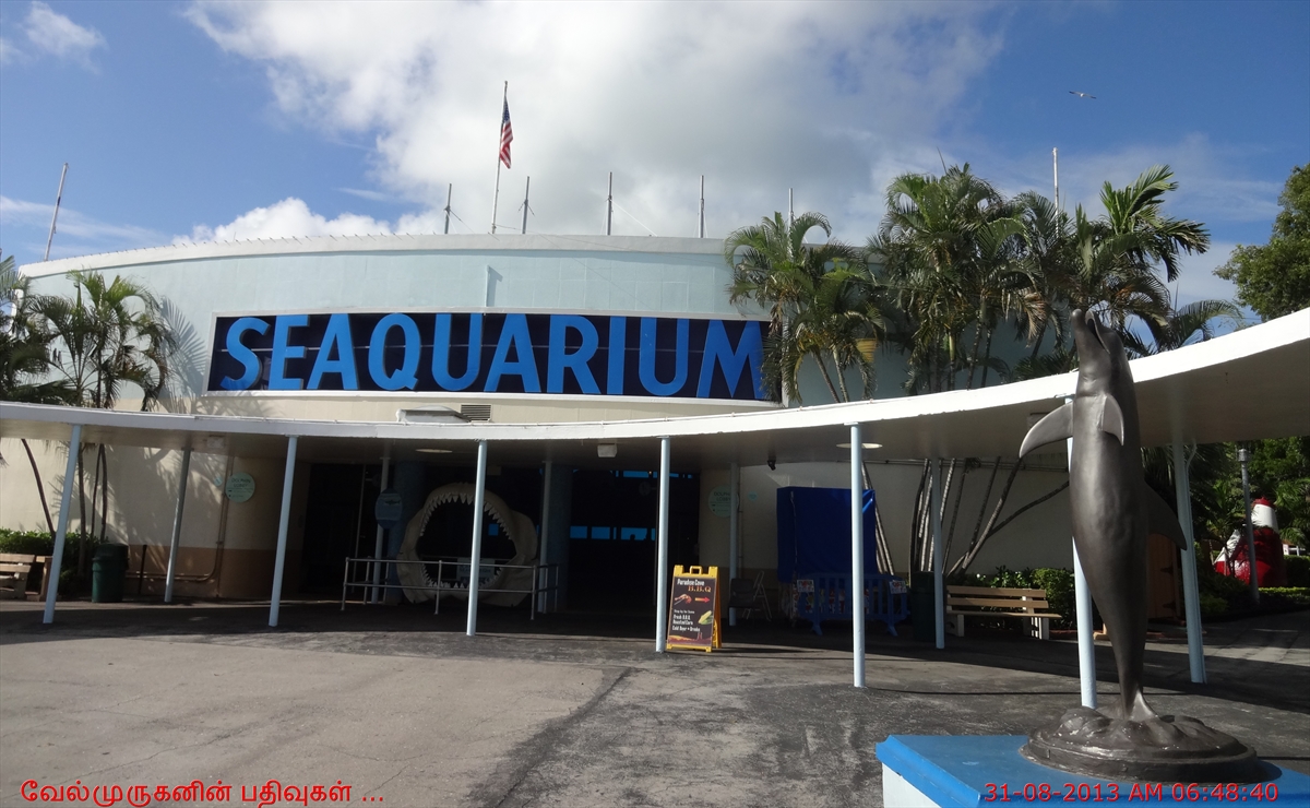 Miami Seaquarium - Exploring My Life