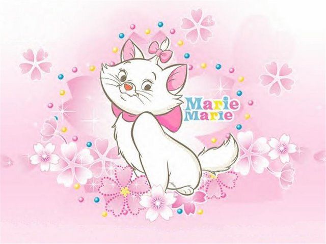 De la gata marie - Imagui