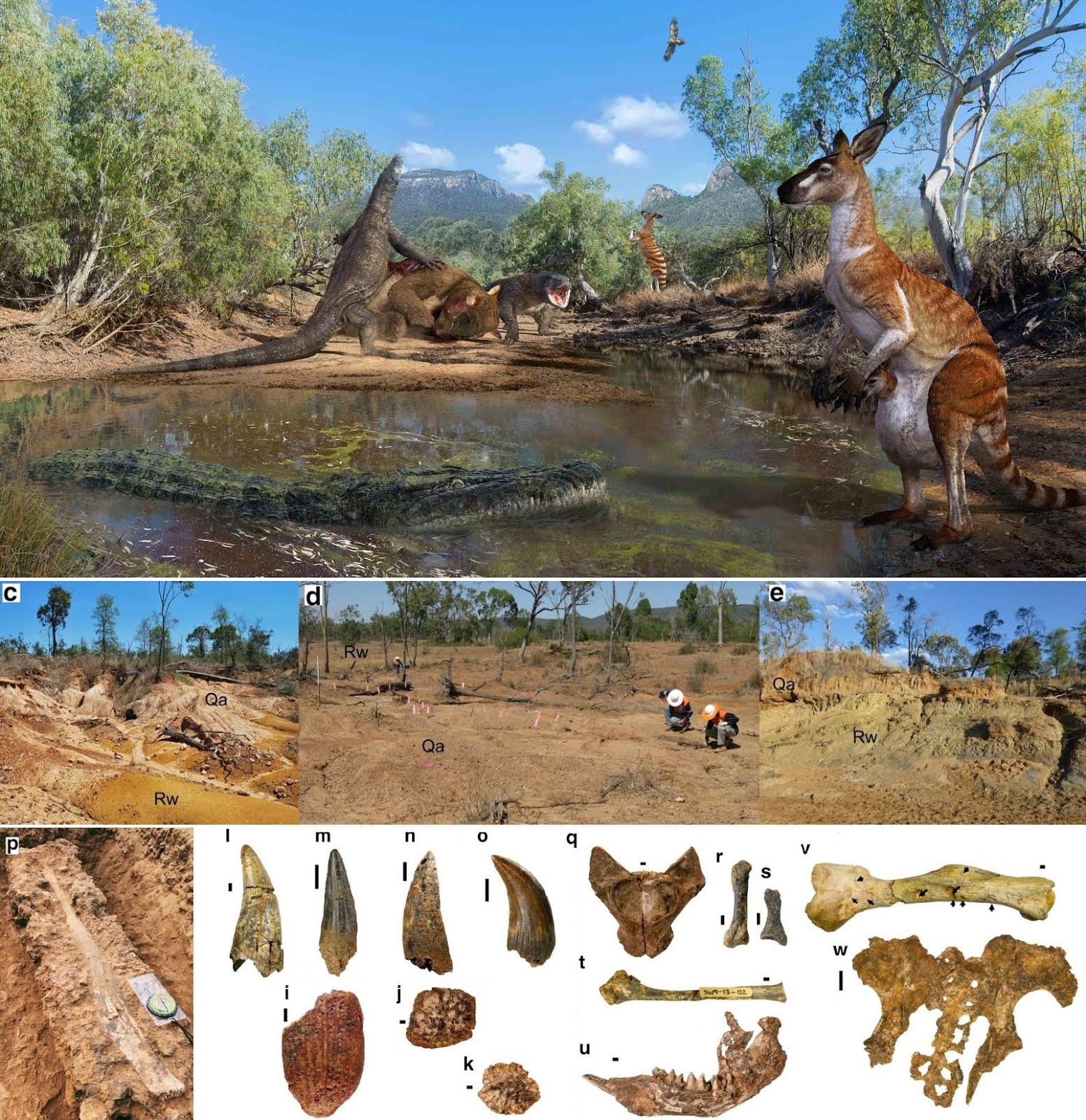 Species New to Science: [Paleontology • 2020] Extinction of eastern ...