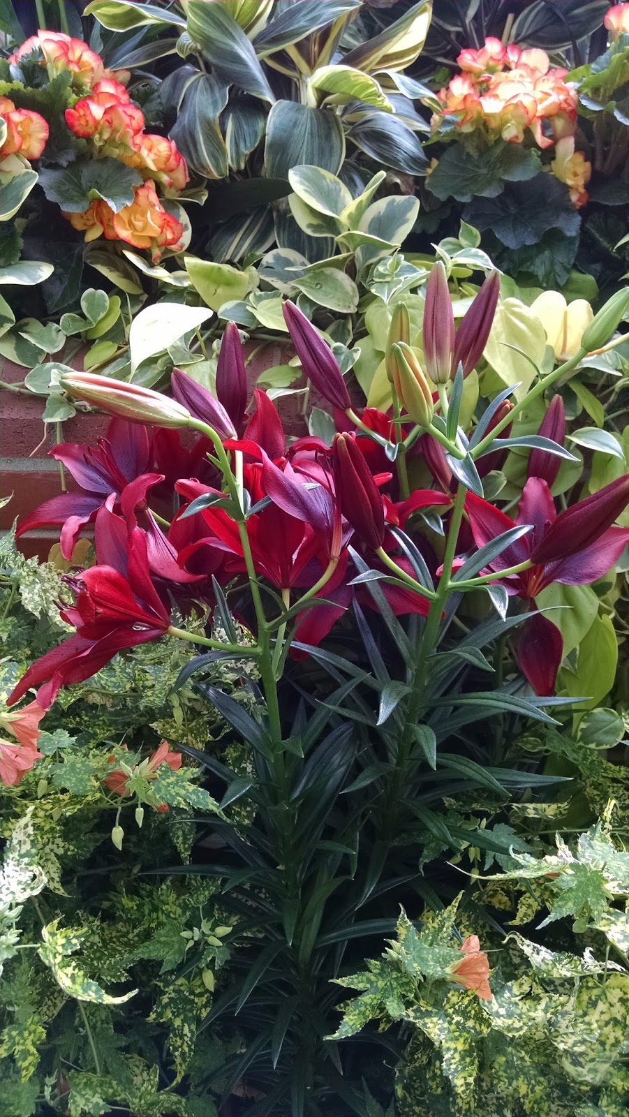 A Beautiful Spring Day at Biltmore House and Gardens and Conservatory