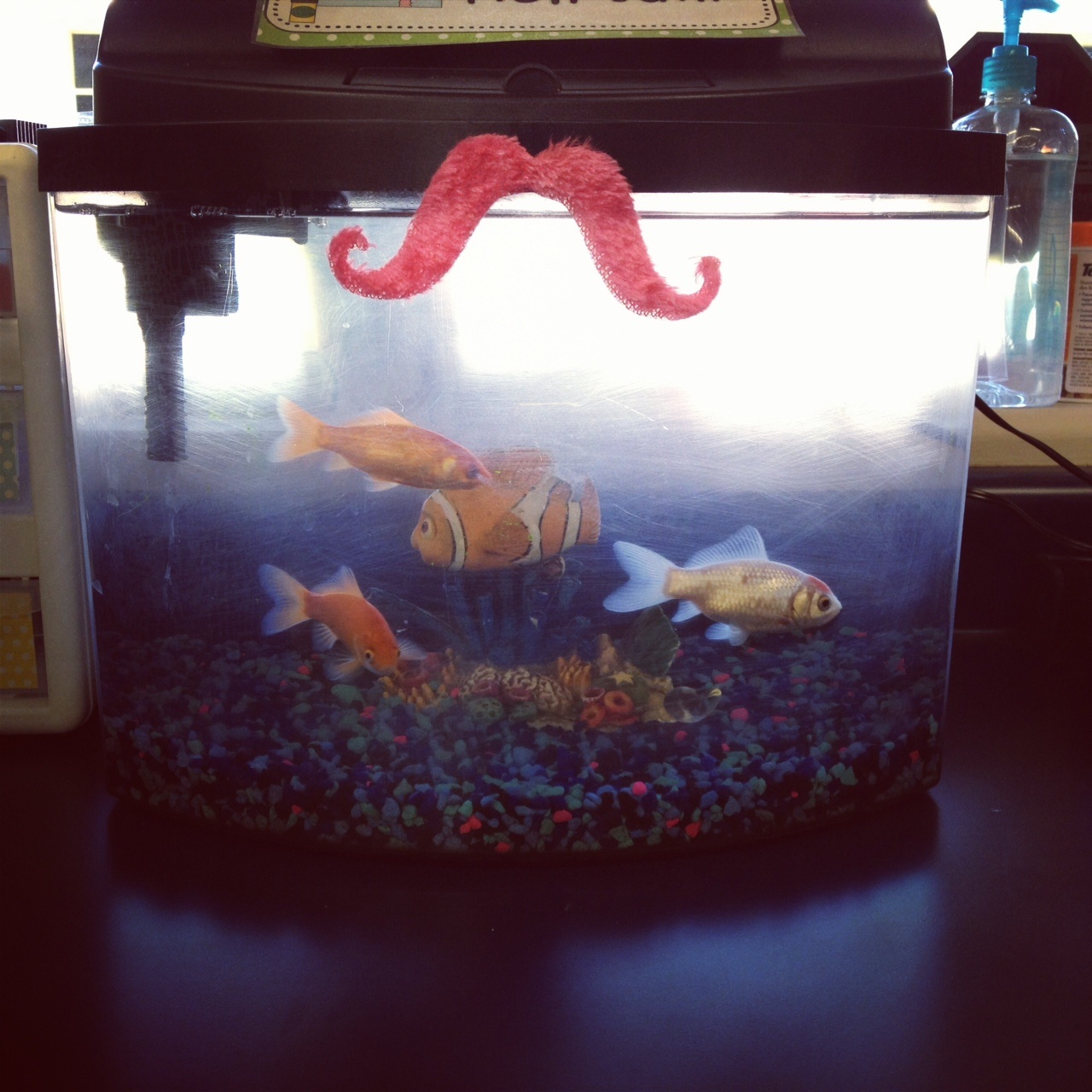 Mustache Monday!! - Apples & ABC's