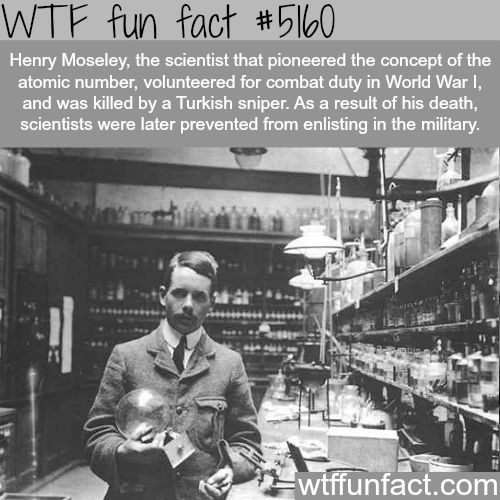 60 Crazy Facts To Truly Blow Your Mind! | Amazing WTF Facts