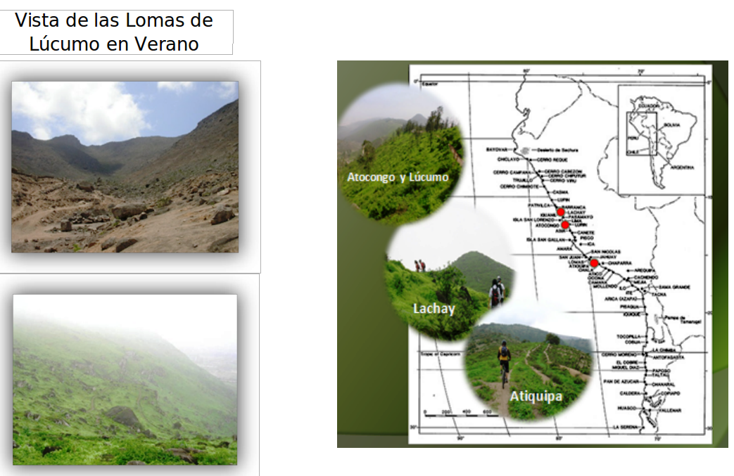 APUNTES - REVISTA DIGITAL DE ARQUITECTURA: TRANSFORMACION DEL PAISAJE ...