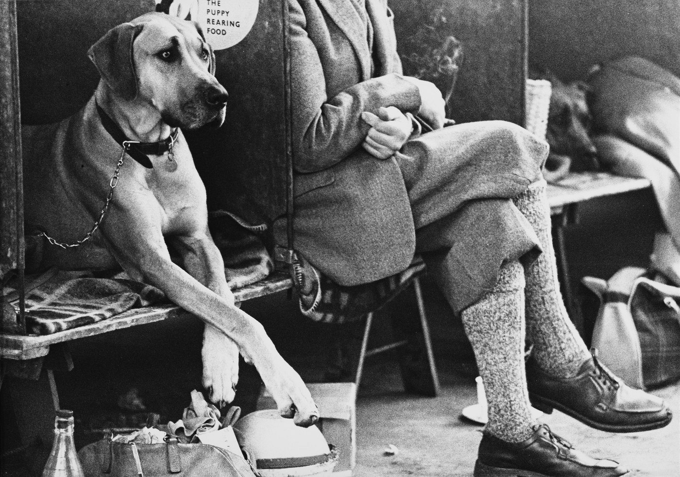 The Last Days of the Slums: 20 Amazing Vintage Photographs Capture Life ...