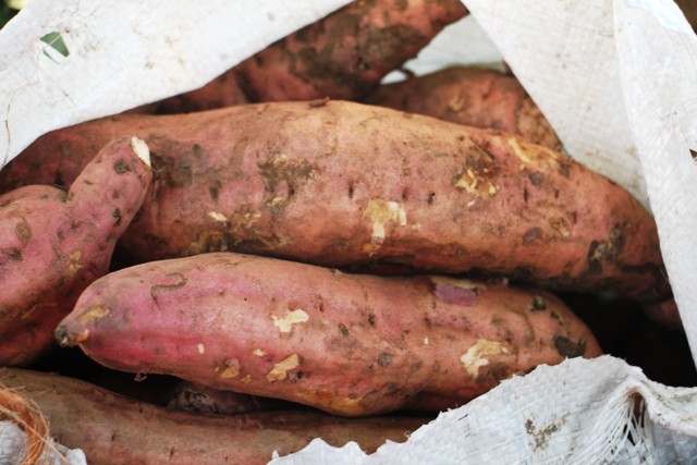 ZIJUE AINA SITA ZA VIAZI LISHE NA FAIDA ZAKE - MICHUZI BLOG