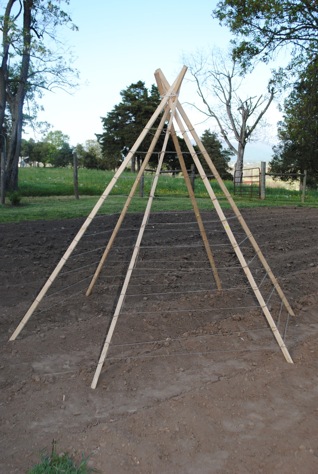 Knit One, Raised 4: The Bean TeePee