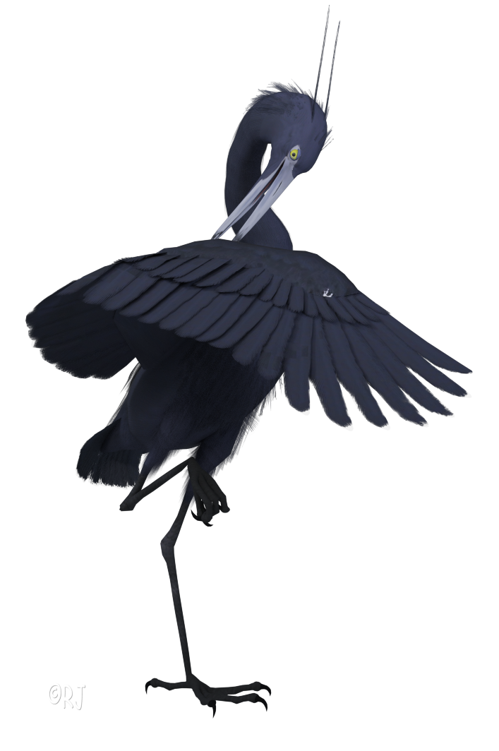 RJs Bits Bobs Props & Pieces: Shorebirds III