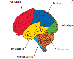 Psykologi NGV 2: september 2012