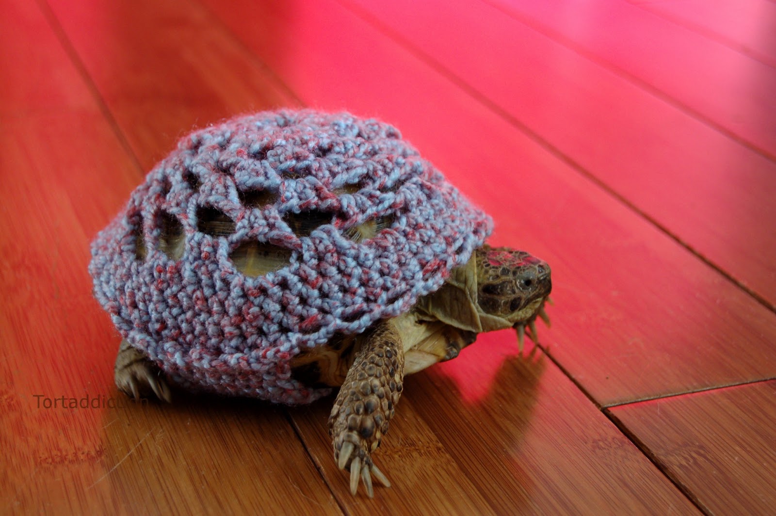 Tortaddiction: Mossy Tortoise Etsy shop is now open!