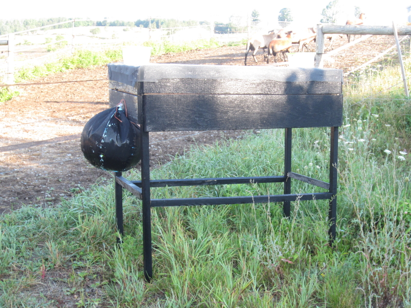 The Twin Tiers Horse: Trapping the Biting Fiends