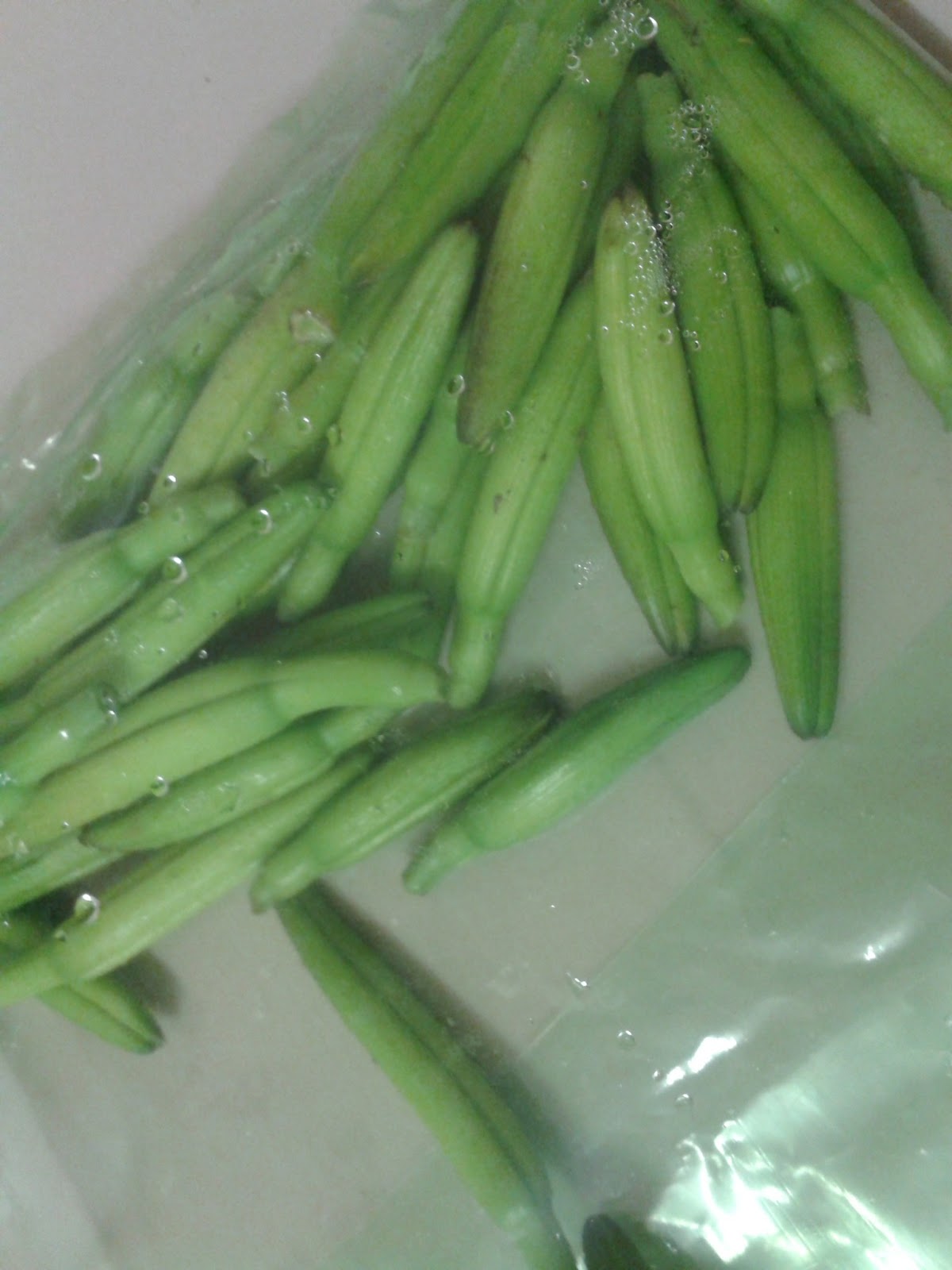 Me_AzRynN: Bunga Kincam Goreng Tepung_Cameron Highland