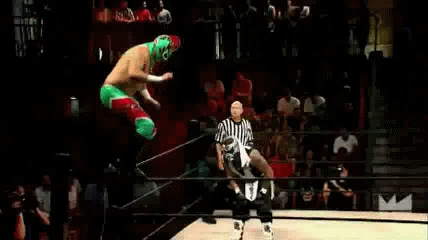 Springboard Missile Dropkick