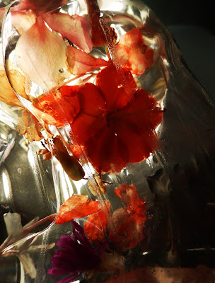 Arq. Myriam Mahiques´art: Trapped flowers and petals. Flores y pétalos ...