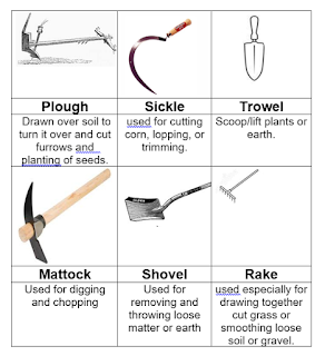 Class-4 EVS Chapter-14, Basva's Farm, Additional Exercises with ...