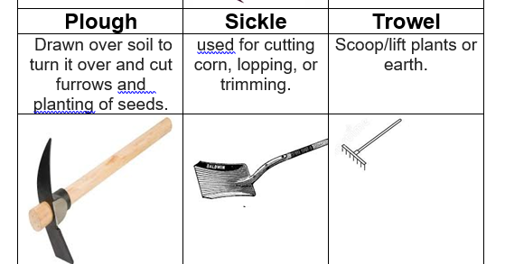 Class-4 EVS Chapter-14, Basva's Farm, Additional Exercises with ...