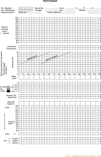 Apa Itu Partograf ? | Jurnal Bidan