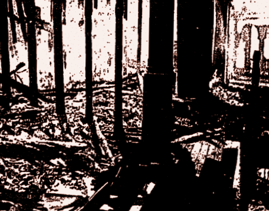 Hong Kong's First: Job And James Henry Witchell: The Story Of A ...