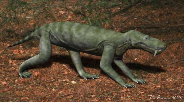 Palaeocritti Blog: Rubidgea