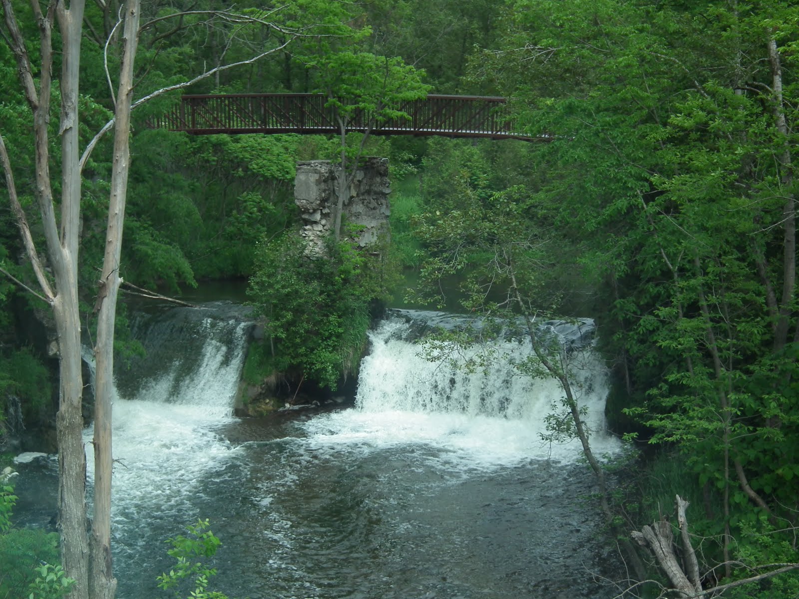 Wyvern's Peak Writing